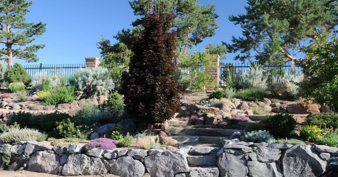Role of Hardscape Contractors in Landscape Design | The Landscape Company